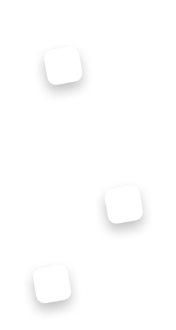 Software Development Company In Malaysia- Red Ant Technology