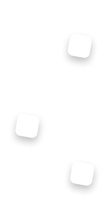 Software Development Company In Malaysia- Red Ant Technology