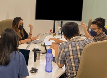 About Us - Custom Software Development - Red Ant Technology